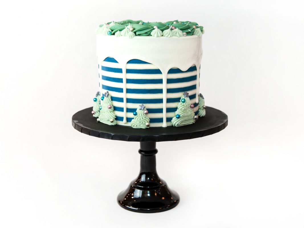 Cake school for beginners to professionals - Fair Cake